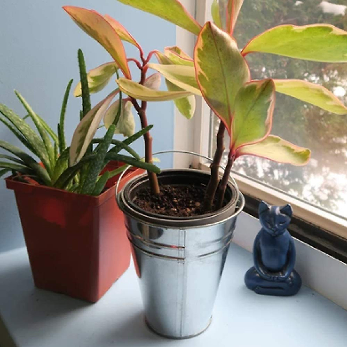 Kicko Large Galvanized Metal Buckets Bulk - 6 Pack - with Handle 5 X 4.5 Inches - Unique Goody Baskets, for Party Favors, Party Accessories and Christmas Decorations