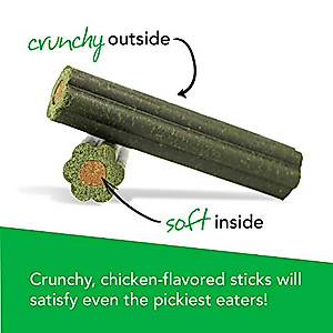 VETRISCIENCE Perio Plus for Dogs, Chicken Liver, 30 Stix - Fresh Breath, Gums and Plaque Control - Crunchy Outside, Soft Inside, Green (090019A.030)