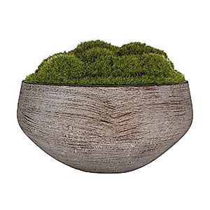 MD MACOMINE DESIGN Moss Bowl | Artificial | Hand-Painted Cement Bowl | Centerpiece | Home Décor | 7 ¾" Diameter