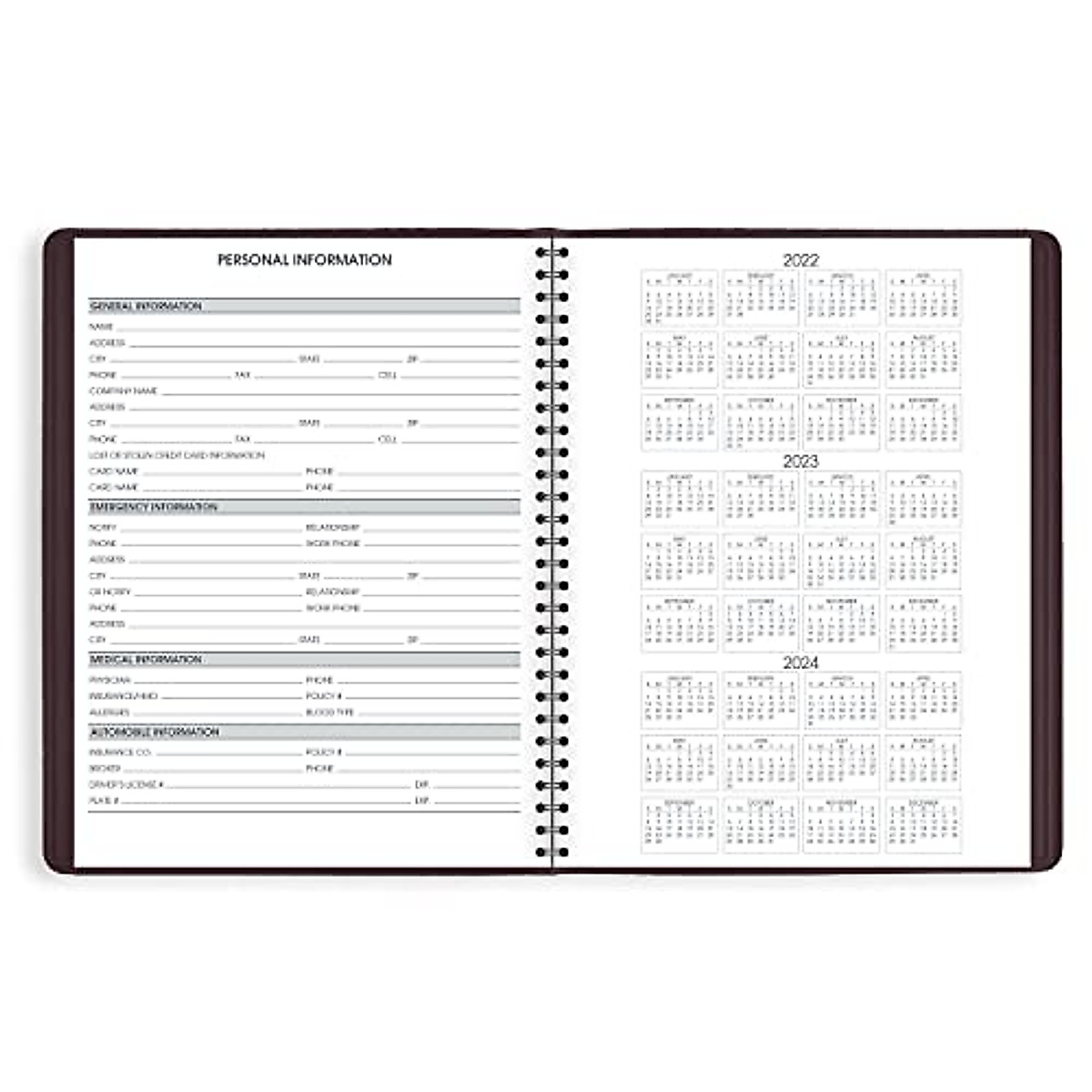 AT-A-GLANCE 2023 Weekly Planner, Quarter-Hourly Appointment Book, 13 Month, 8-1/4" x 11", Large, Winestone (7095050)