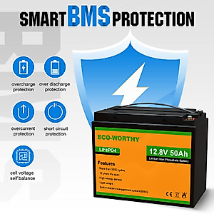 ECO-WORTHY 260 Watt 12V Flexible Complete Solar Panel Starter Kit for RV Off Grid with Battery and Inverter: 2pcs 130W Solar Panel + 30A Charge Controller + 50Ah Lithium Battery + 600W Solar Inverter