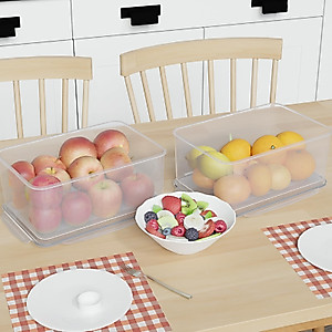 Tstorage 15 Quarts Rectangular Fresh Food Storage Containers, Clear Fresh Food Storage Box with Lid and Handle, Plastic Airtight Freezer Container, 4 Packs