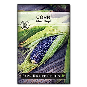 Sow Right Seeds - Blue Hopi Corn Seed for Planting - Non-GMO Heirloom Packet with Instructions to Plant and Grow an Outdoor Home Vegetable Garden - Great for Blue Corn Flour Cooking (1)