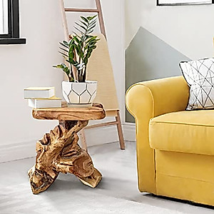 Warmaxx Natural Irregular Shape Tree Stump End Table Plant Stand, 14"x13"x18"H Solid Cedar Wood Outdoor Rustic Sit Foot Stools Live Edge Coffee Side Table for Living Room Bedroom Bath Outdoor Garden