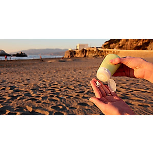 humangear GoToob+ 3-Pack (Small) | Refillable Silicone Travel Bottle | Locking Lid | Food-Safe Material, Clear/Purple/Teal, Small (1.7 fl.oz; 53ml)