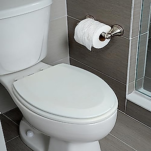 Amazon Basics AB-BR809-SN Modern Spring Toilet Paper Holder, Satin Nickel