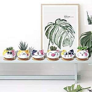YINUOWEI Succulent Pots with Drainage 3.6 Inch Mini Cat Pots for Plants Tiny Animal Planter Small Ceramic Air Plant Flower Pots Cactus Faux Planters Containers with Bamboo Tray