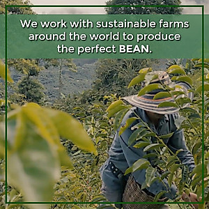 The Bean Organic Coffee Company Vanilla Bean, Medium Roast, Whole Bean Coffee, 16-Ounce Bag