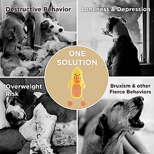 Lesure Plush Squeaky Dog Toys - Indestructible Stuffed Dog Toys for Aggressive Chewers with Tough Rope and Crinkle Paper for Puppies, Small Medium Large Pets, Duck, 1 Pack