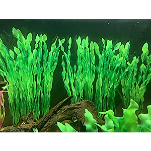 BEGONDIS 14 Pcs Artificial Green Seaweed Water Plants, Fish Tank Aquarium Decorations, Made of Soft Plastic