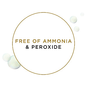 Clairol Professional Beautiful Collection Advanced Gray Solutions, 4R Mahogany Red Brown, 3 oz. - Packaging May Vary