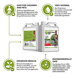 ECO Garden PRO - Organic Vinegar Weed Killer | Kid Safe Pet Safe | Clover Killer for Lawns | Moss Killer | Green Grass & Poison Ivy Killer | Spray Ready Glyphosate Free Herbicide (1 Gallon)