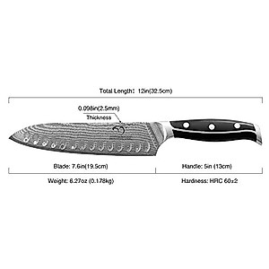 Damascus Kitchen Knife, 7 Inch Santoku Knife Professional Kitchen Knife Forged with VG10 Super Steel 67-Layer Damascus, Non-slip ABS Ergonomic Triple Rivet Handle, Razor Sharp Lightweight Multipurpose