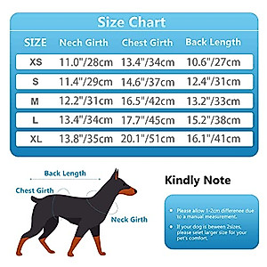 Etdane Small Dog Onesies Surgical Recovery Suit Long Shirt Pet Cold Weater Vest for Home Outdoor (X-Small, Purple Stripe-1)