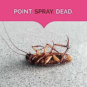 Hot Shot Ant, Roach & Spider Killer 2 Pack, 17.5 oz, Kills Roaches and Listed Ants On Contact, Indoor & Outdoor Insecticide Spray