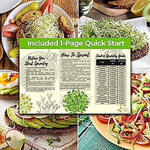 Sprouting Jar Kit Microgreens Grower - Set of 2 Wide Mouth Mason Jars with Stainless Steel Sprout Lids - Sprouter for Growing Broccoli Alfalfa Mung Bean Seeds - FUASHA