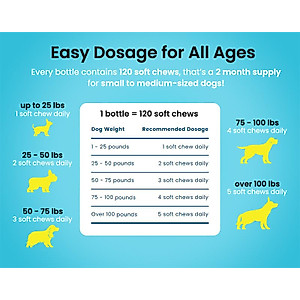 Dogtor Box Vet-Formulated All-Natural Joint Supplement for Dogs with Glucosamine, Chondroitin, MSM, Collagen - 120 Soft Chews Proudly Made in USA