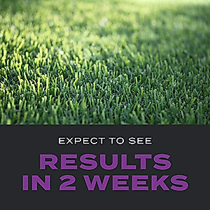 Scotts Turf Builder Southern Triple Action - Combination Weed Killer, Fire Ant Preventer, and Fertilizer, 26.64 lbs., 8,000 sq. ft.