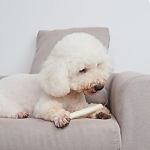 MON2SUN Dog Rawhide Rolls Twist Sticks 6.5 Inch Dog Chew Treats Natural Flavor 60 Count for Puppy and Small Dogs