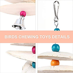 PATKAW Bird Cuttlebone Parakeet Cuttlebone Cuttlebone for Birds cuttlebone for Birds cuttlebone cuttlebone for Tortoise Parakeets Parrot Cuddle Parakeet Food Parakeet Cuttlebone