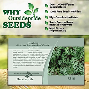 Outsidepride Perennial Coral Bells Heuchera Americana Garden Flower & Foliage Plant - 1000 Seeds