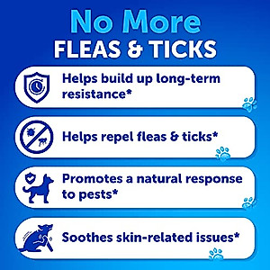 Flea and Tick Prevention for Dogs Chewables - Made in USA - Natural Flea and Tick Supplement for Dogs - Oral Flea Pills for Dogs - Pest Defense - All Breeds and Ages