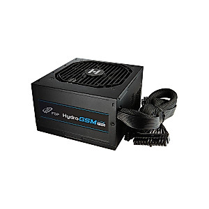 FSP Hydro GSM Lite PRO 650W