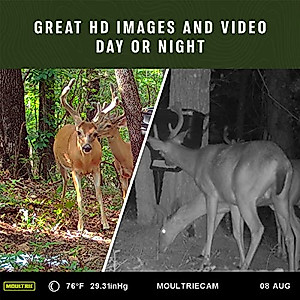 Moultrie Mobile Delta Base Cellular Trail Camera - 24MP Resolution Photos & Videos with Sound | .75s Trigger Speed & 36 invisible IR LEDs | Game Cam for Hunting with App Control | Verizon Nationwide