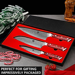 WILDMOK Damascus Kitchen Knife Sets 3 PCS, Razor Sharp Kitchen Knives Made of Japanese Damascus Steel, Well-Balanced Damascus Chef Knife set with Premium Resin Full Tang Handle Triple Rivet Gift Box