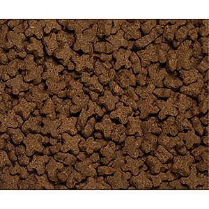 Wysong Geriatrx Senior Feline Formula Dry Cat Food - 5 Pound Bag