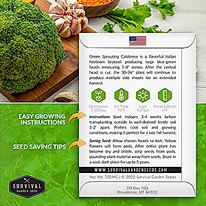Survival Garden Seeds - Green Sprouting Calabrese Broccoli for Planting - Packet with Instructions to Plant and Grow Delicious Superfood Veggies Your Home Vegetable Garden - Non-GMO Heirloom Variety
