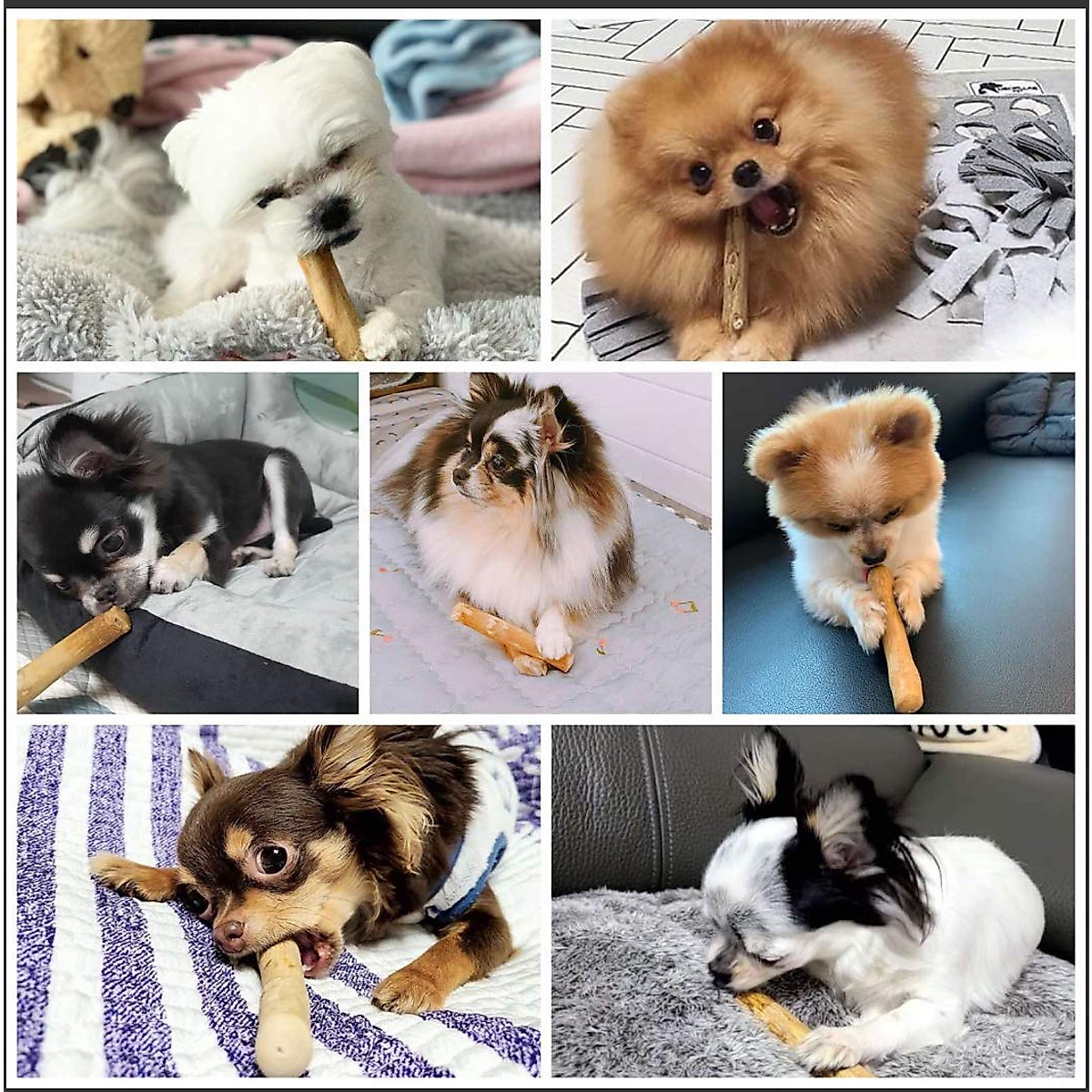 Pet Full House WoofWood Dog Chew Sticks