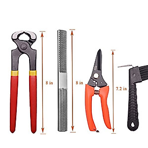 long river 8 inch Farrier Tool Kits （5 Piece） Mini Rasp Hoof File Equine Metal Shears Farriers Hoof Nipper for Goat Pig