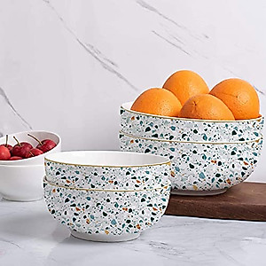LEAZUL Ceramic Soup Bowls Cereal Bowl, 22 Ounce Bowls Set Chip Resistant Dishwasher & Microwave Safe Porcelain Bowls for Kitchen Terrazzo Marble Bowls for Cereal Soup Rice Pasta Salad Oatmeal Set of 4