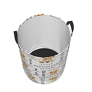 Custom Hamper for Nursery Lion Laundry Basket Hamper for Girls Boys Name Personalized Baby Nursery Hamper Bin Storage Basket Kids Baby Gift Baskets Collapsible Orgnizer Home Decor