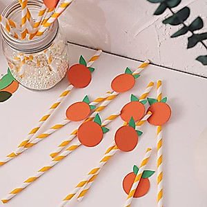 Orange Paper Straws - Biodegradable Disposable Drinking Striped Paper Straws 15 Pieces, Little Cutie Straws, Little Cutie Baby Shower Decorations, Little Cutie Themed Birthday Decorations