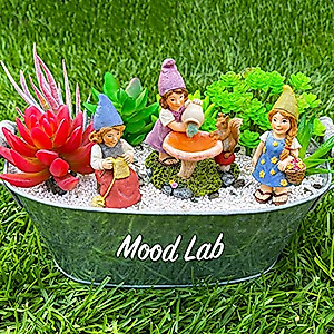 Mood Lab Miniature Garden Gnomes - Lady Gnomes Kit of 3 pcs - Figurines & Accessories Set - Outdoor or House Decor