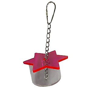 Star Forage Cup - Durable Treat Foraging Cage Accessory Toy - for Sugar Gliders, Squirrels, Chinchillas, Prairie Dogs, Degus, Opossums, Marmosets, Monkeys, Parrots, Birds, Rats, Hamsters, & Gerbils