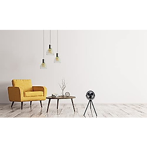 HUNTER 90646 Metal Tripod Fan, Adjustable Tilt, 3 Speeds, 12", Matte Black Finish