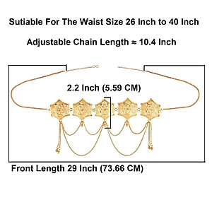 Efulgenz Gold Tone Indian Jewelry for Women Dubai Style Kamarbandh Indian Big Floral Pendant Multilayer Chain with Ball Kamarbandh Belly Chain Waist Belt Jewelry for Wedding