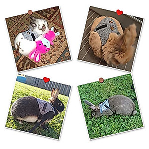 Cute Rabbit Harness and Leash for Walking，No Pull Adjustable Formal Suit Style Plaid Stripe Harness for Rabbit Kitten Chinchilla, Squirrel, Marten & Mink Small Animal（2 Pcs） (M)