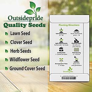 Outsidepride Impatiens Plant Lavender Shade Garden Flower Plants for Pots, Hanging Baskets, Containers, Window Boxes - 100 Seeds