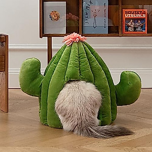 VETRESKA Cute Cactus Cat and Dog Bed, Cats Cave Dog House, Comfy Pet Bed with Machine Washable Nest Cushion for Cats, Dogs, Puppy, Kitty, Kitten, Rabbit, Green Cactus