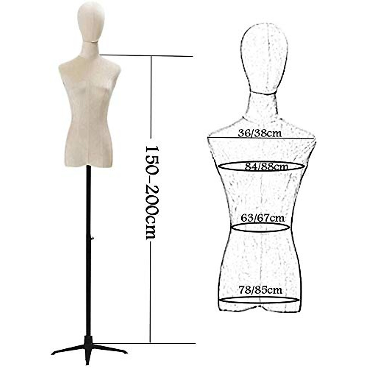 Mannequin Dress Form Torso Mannequin Torso Female Tailors Mannequin Display Bust Dummy for Dressmakers Detachable Head Suitable for Clothing Jewelry Show (Light Gray Small)