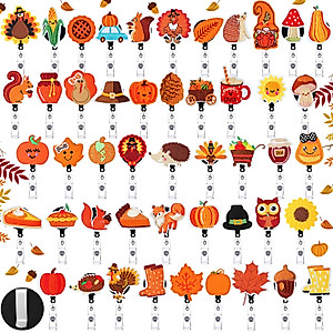 Zhanmai 48 Pcs Thanksgiving Badge Reels Felt Retractable Badge Reels with Clip Cute Squirrel Turkey Pumpkin Maple Leaves Holiday Themed Badge Holders Gift for Nurse Doctor Students School Office