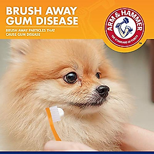 Arm & Hammer for Pets Dental Toothbrush & Cover for Small Dogs | Best Toothbrush with Cover for Small Dog Breeds | Easy to Use and Convenient Dog Toothbrush