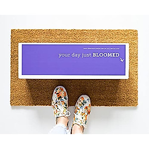 From You Flowers - One Dozen Rainbow Roses with Free Vase (Fresh Flowers)