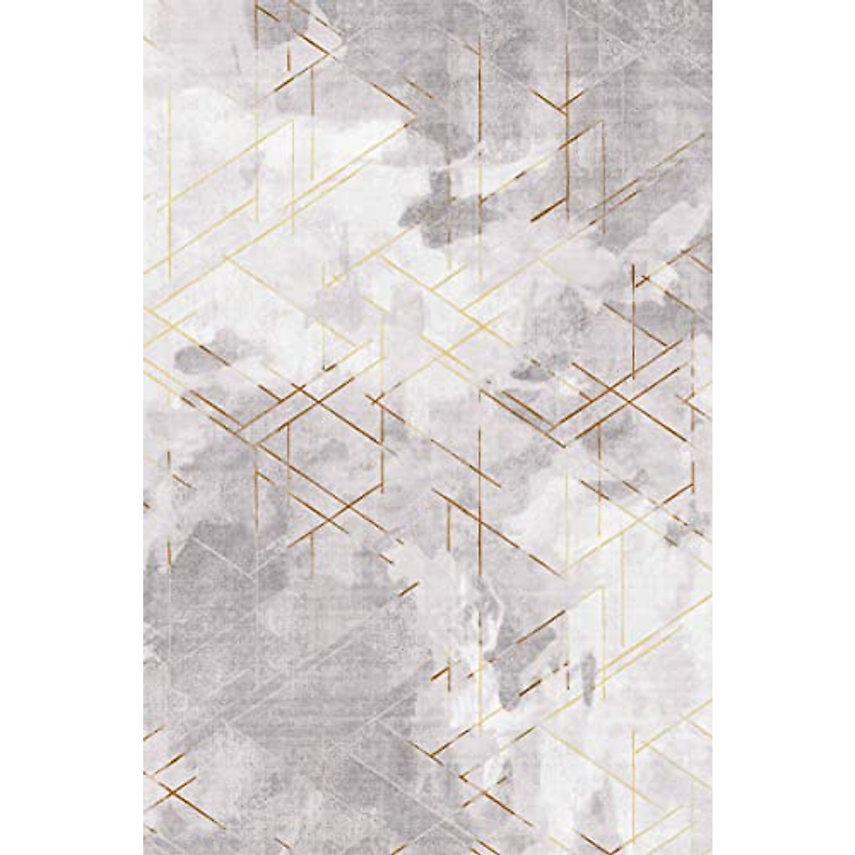 FINOREN Abstract Gold Line Area Rugs for Living Room,Bedroom,Hallway,Dining Room,Non-Shedding,Non Slip Backing,Floor Decoration Carpets,Gray-White,5'x7'