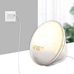 MEROM 24V AC Adapter Compatible with Philips SmartSleep Wake-up Light HF3520/60 HF3521 HF3510 HF3531 HF3550 Somneo HF3650 HF3651 HF3670 12W S018QC2400050 HF12 HF20 18W HF3419 HF24 24W Power Charger