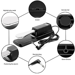 Soraco Sustain Pedal Universal for Yamaha Casio Roland Korg Behringer Moog Piano Midi Electronic keyboards Style with Polarity Switch, 1/4'' Input Plug